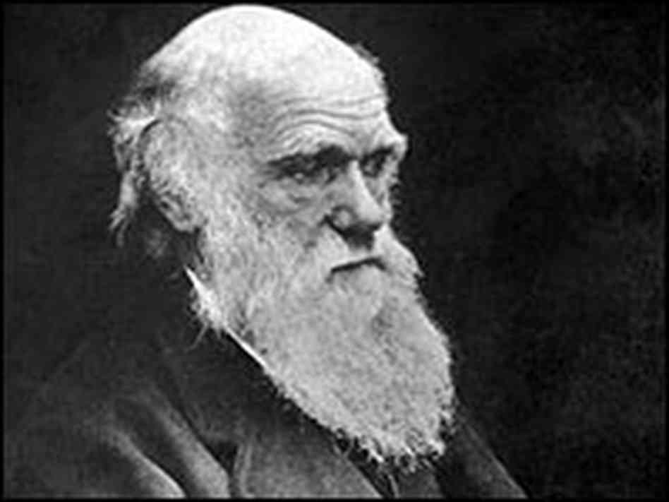 The Theory of Evolution began with Charles Darwin and his book