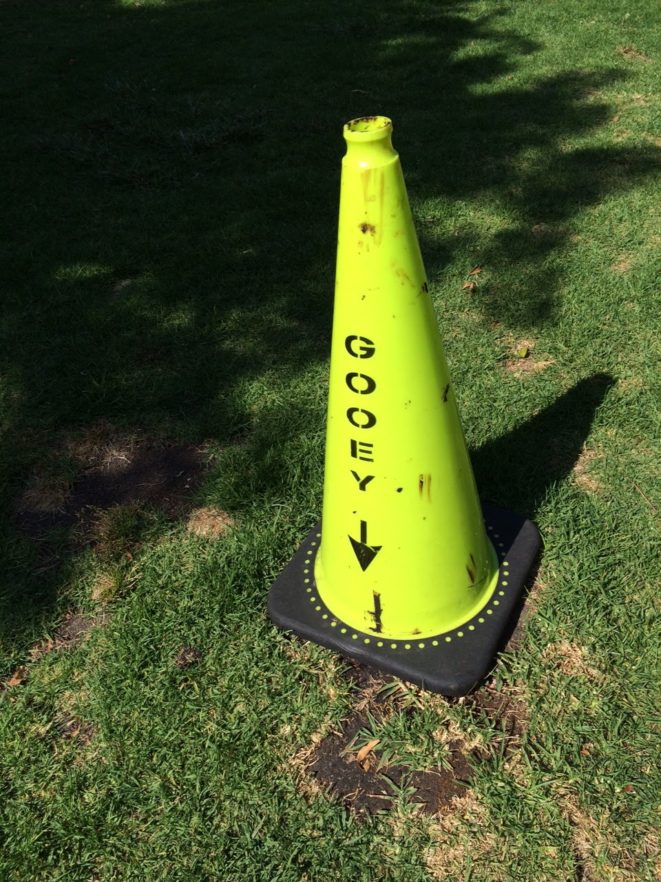 Carbonacea: The La Brea Tar Pits, with some igneous notes thrown in!