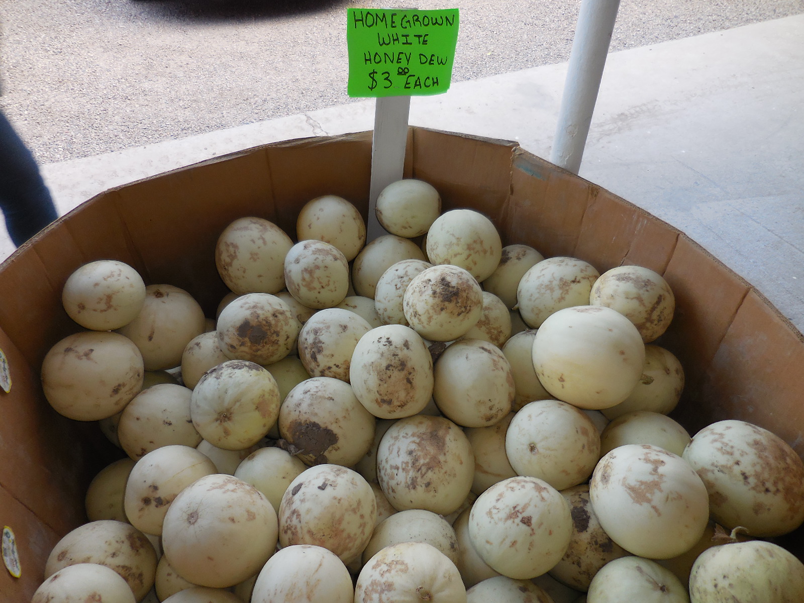 CO-Horts: It's Melon Season!