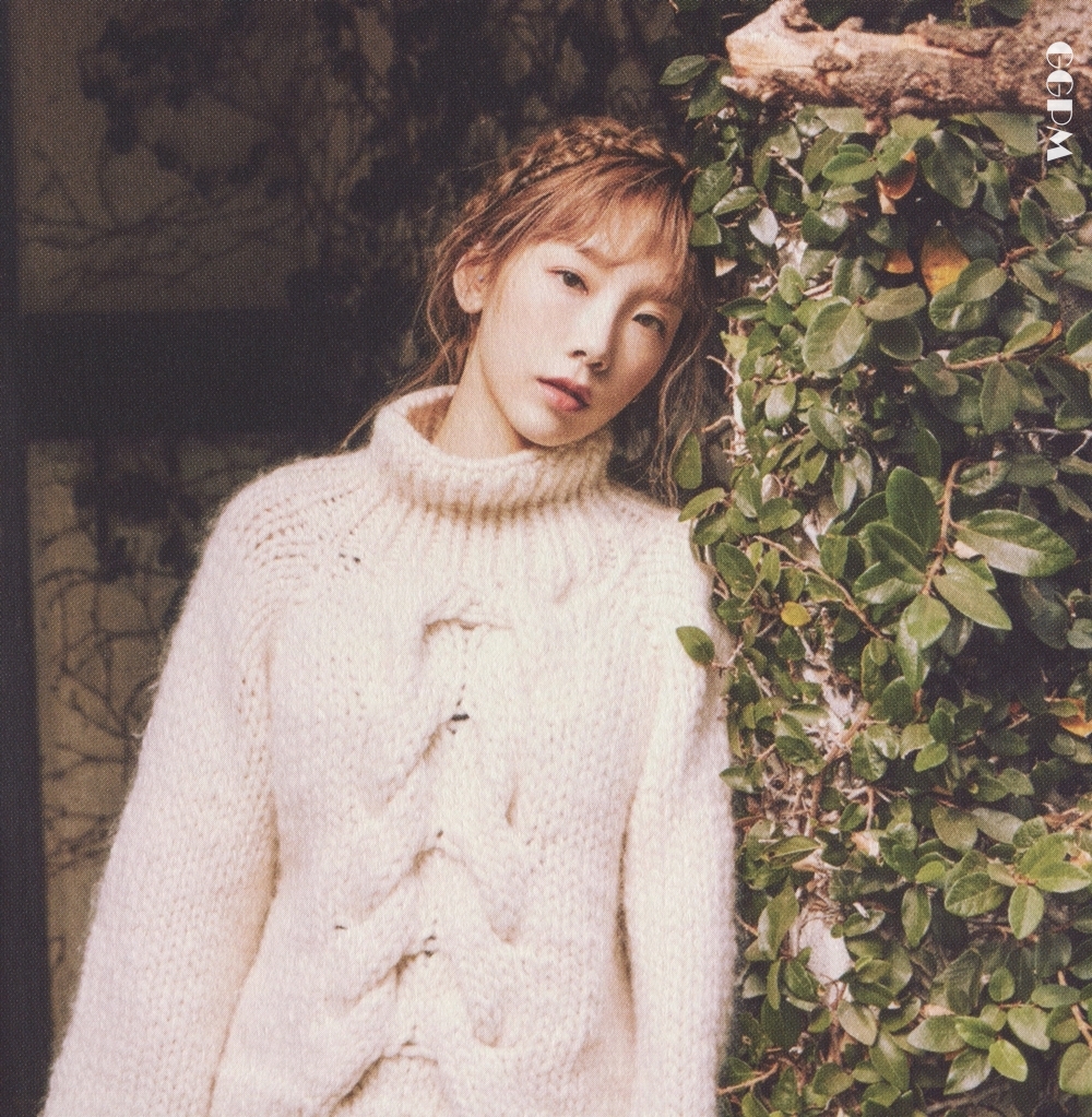 TAEYEON The 2nd Album Repackage (PURPOSE) BOOKLET - Kit Ver. (Preview ...
