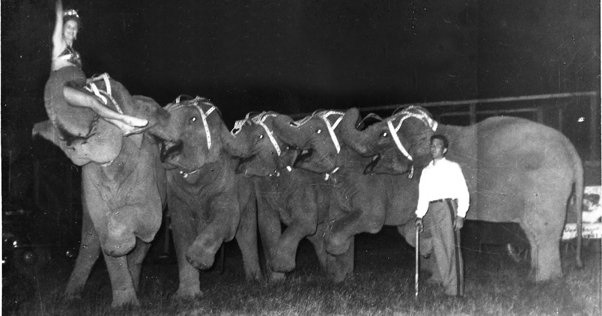 Buckles Blog: #7 Rex Williams