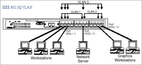 THE SCHOOL OF CISCO NETWORKING (SCN): CISCO - NATIVE VLAN CONFIGURATION: