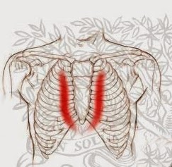 Fisiotur: O que é costocondrite? ¹