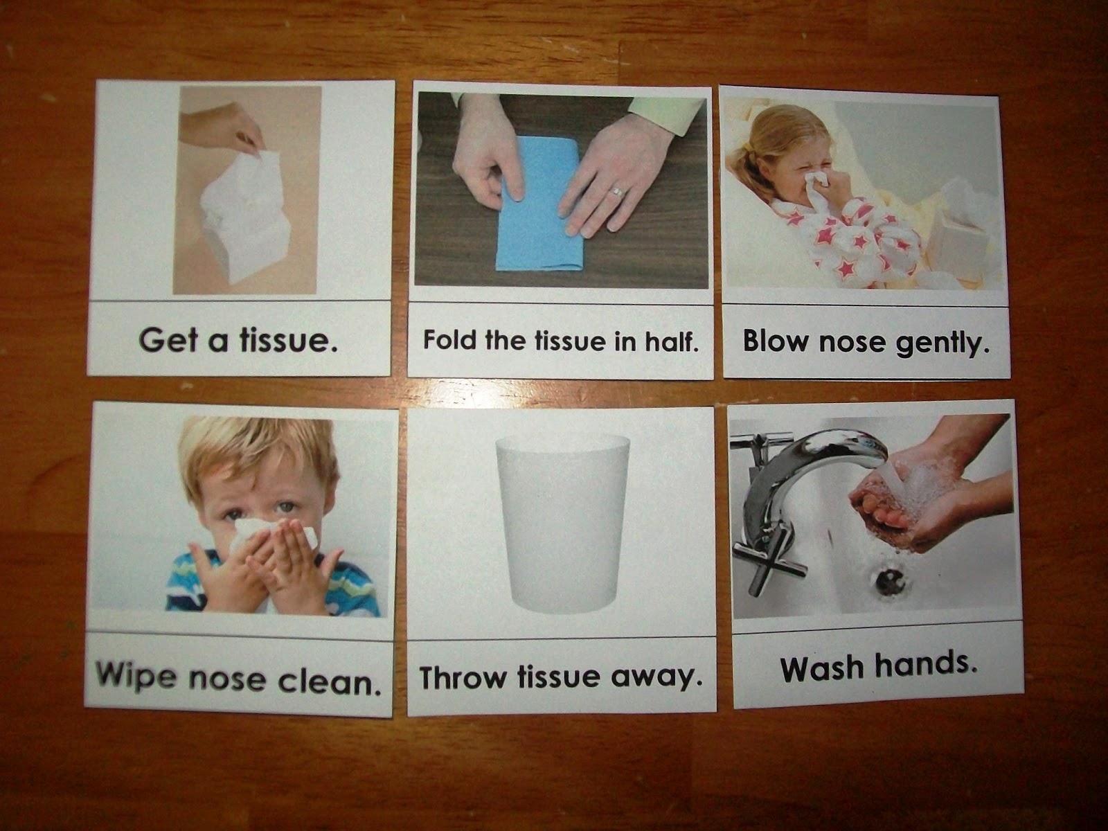 My Body: The Immune System and Personal Hygiene - Every Star Is Different