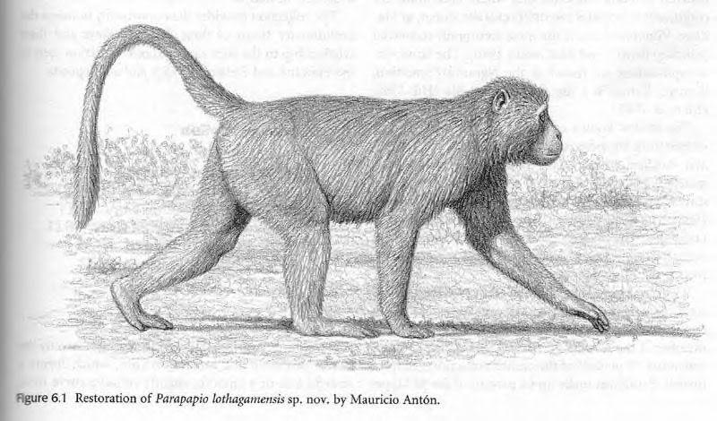 Escenarios prehistóricos: Parapapio
