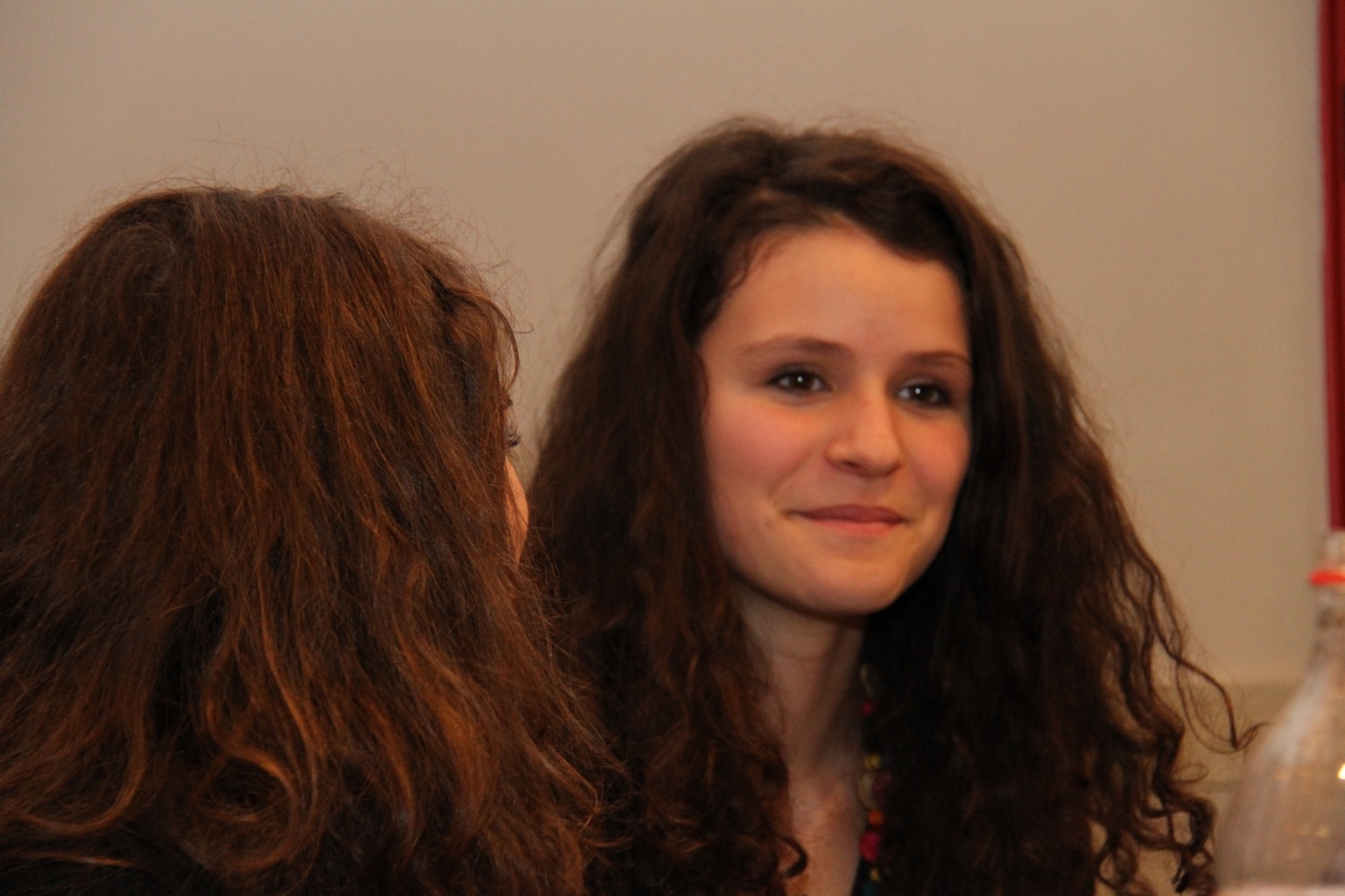 Atletica Sandro Calvesi dot blog: La carica dei 100 pe la "Festassa"!