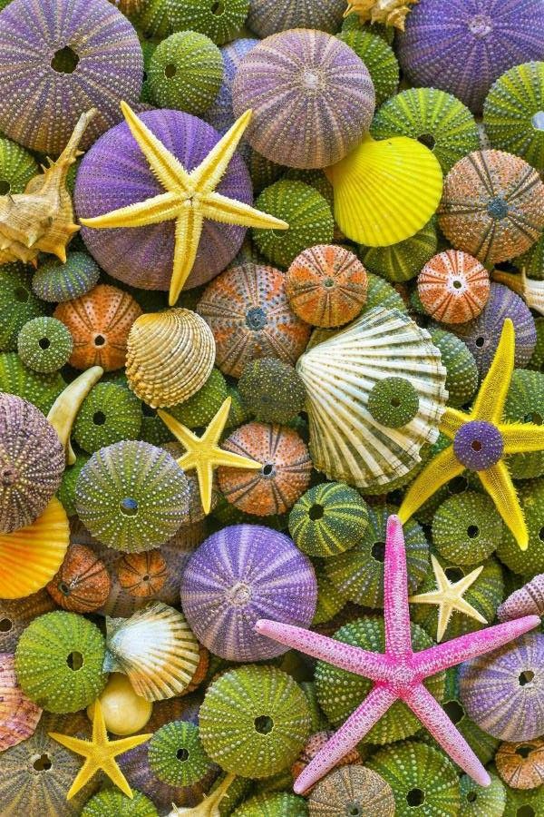 Las Fotos Mas Alucinantes: los colores del mar