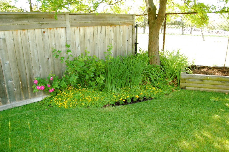 Astrid's Garden Design: A Tour of My Garden June 2012