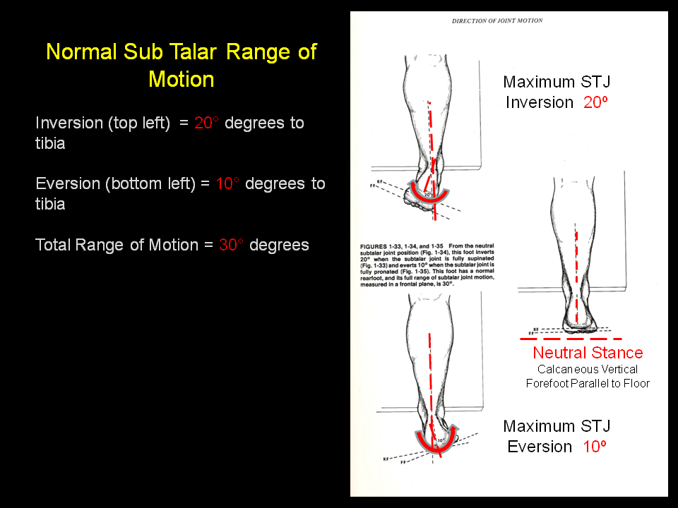 Medical Case Histories and Treatment