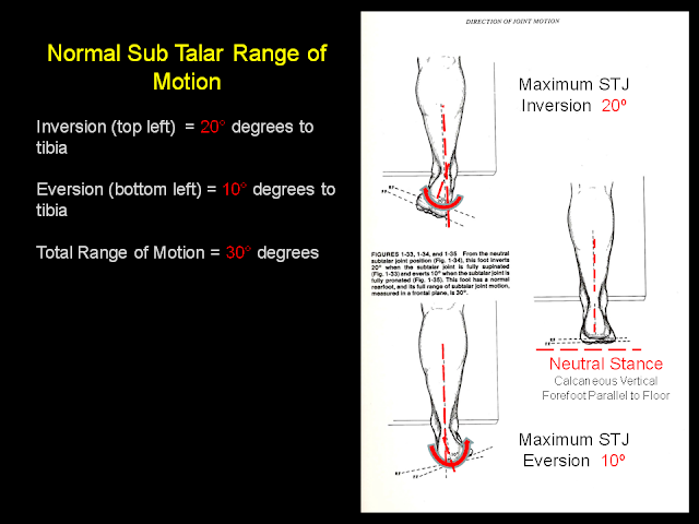 Medical Case Histories and Treatment