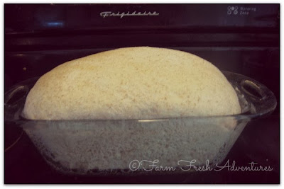 Farm Fresh Adventures: The Monday Munchies~ Rustic Countryside Bread ...