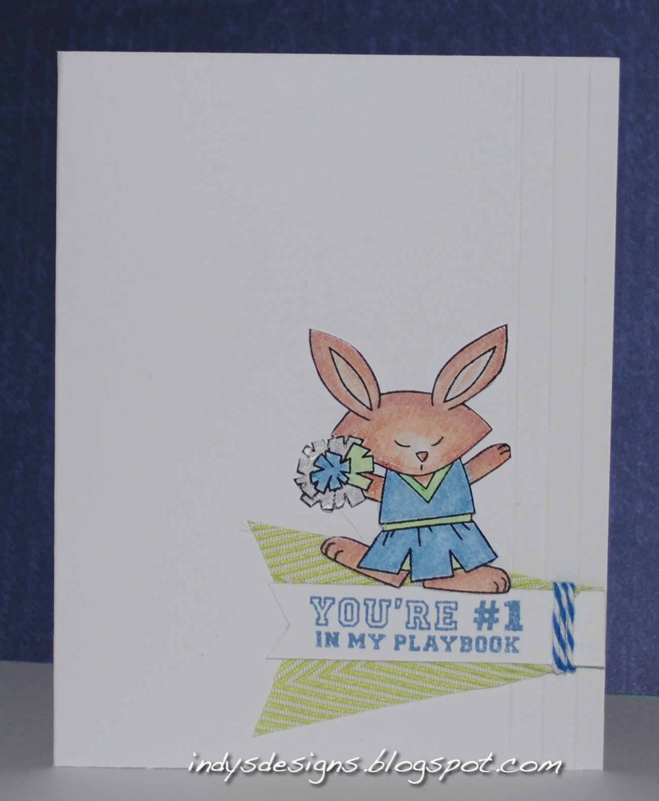 Indy's Designs: Seahawks Gift Set