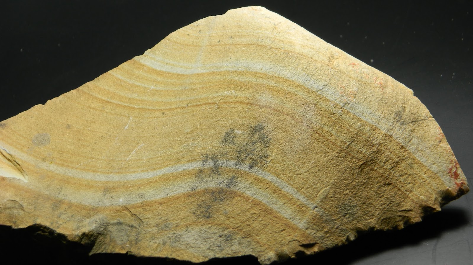 CSMS GEOLOGY POST: 10/22/16