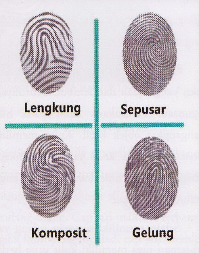 Antelas Jingga: MISTERI HUJUNG JARI