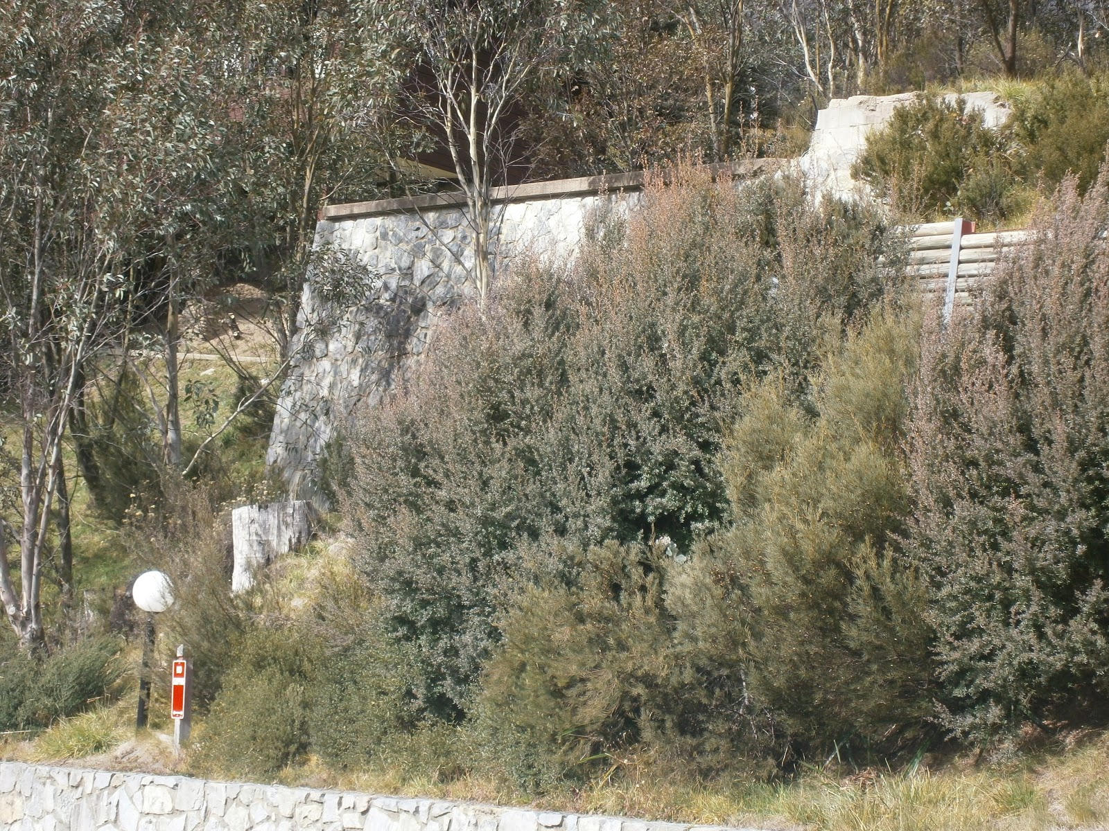 Our Great Australian Adventure...: June 2013