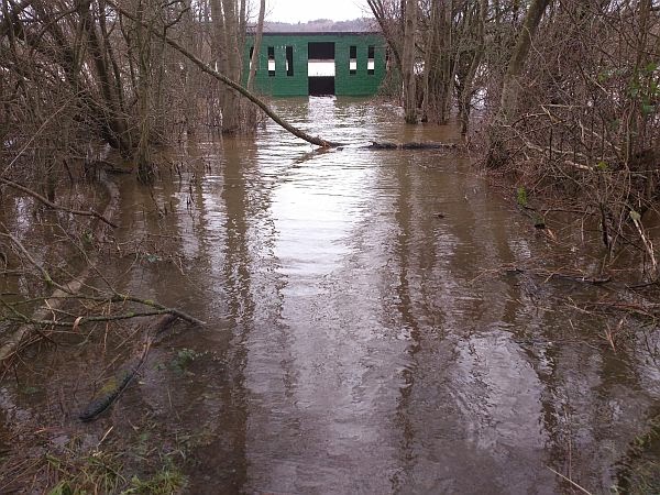 Baron’s Haugh – Jane's Log