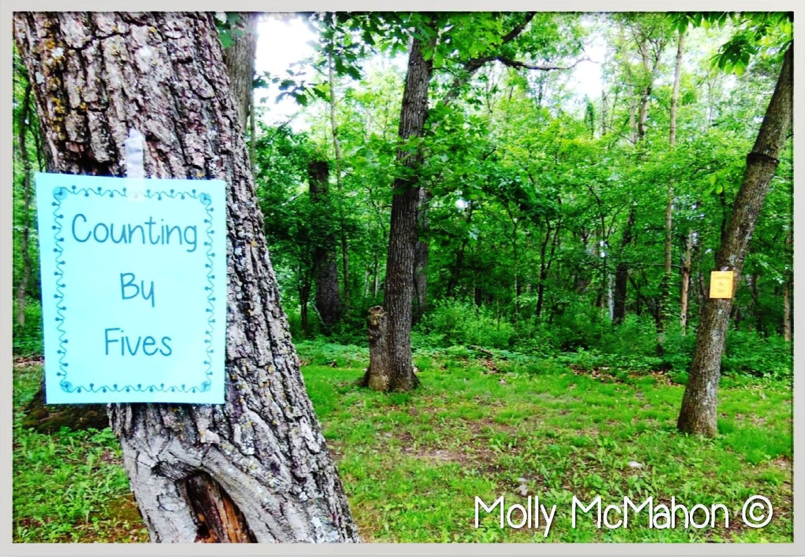 Lessons by Molly: skip-counting-patterns