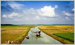 EIIN number of RUPGANJ and SONARGAON thana of NARAYANGANJ | EIIN Number ...