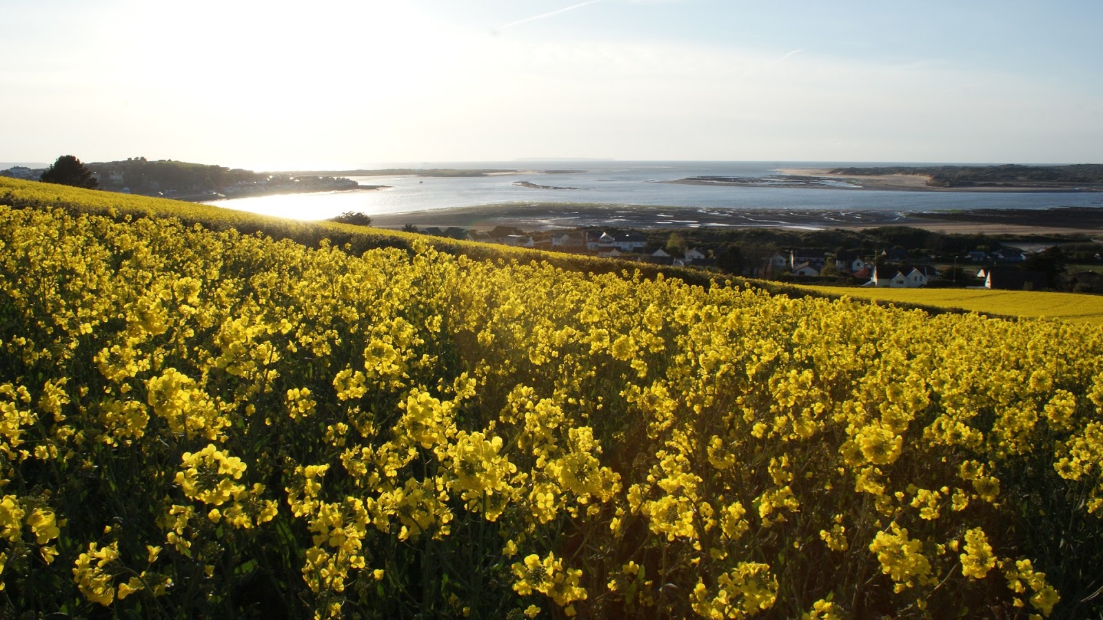 North Devon Coast and Country Chronicle: Get ready to celebrate B10 ...