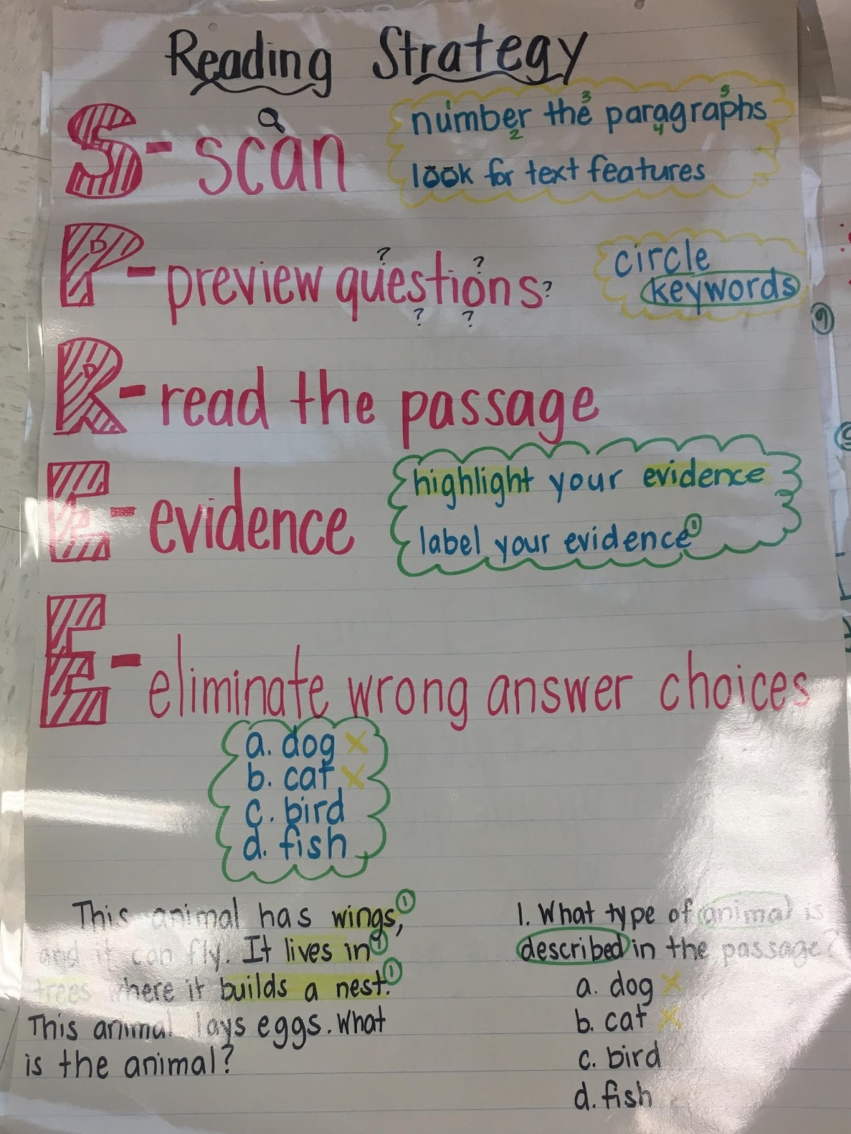 Ms. Ewing's Second Grade Class : Math and Reading Strategies