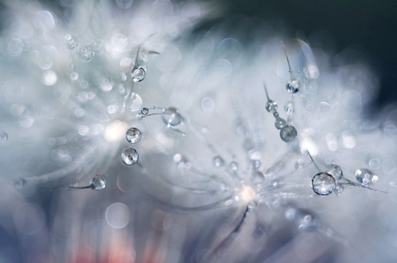 Best WallPapers: Colourful Raindrops Wallpapers