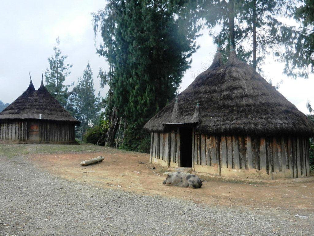 Malum Nalu: Postcards from Daulo Pass