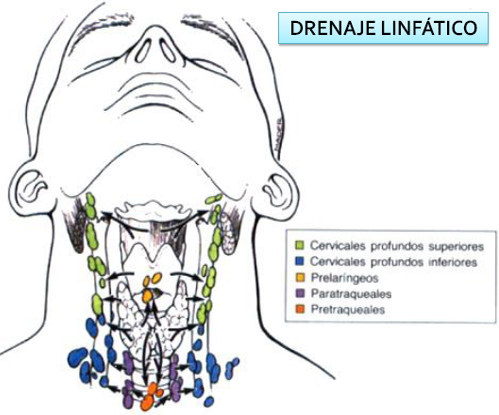 drenaje linfatico