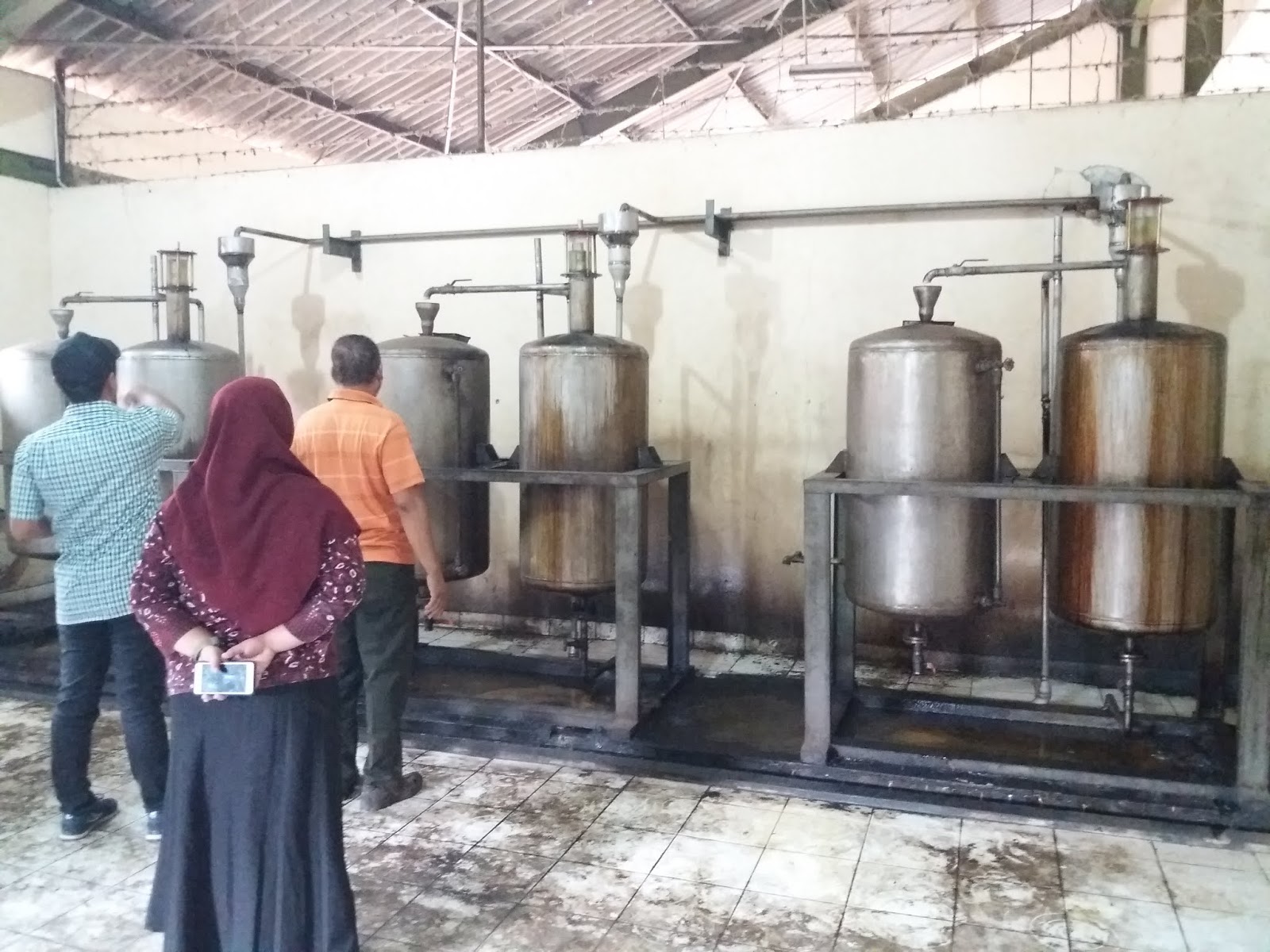 Kayu Putih : Proses Penyulingan Minyak Kayu Putih di KPH Yogyakarta ...