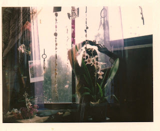 Double Exposure - CVHS Photography