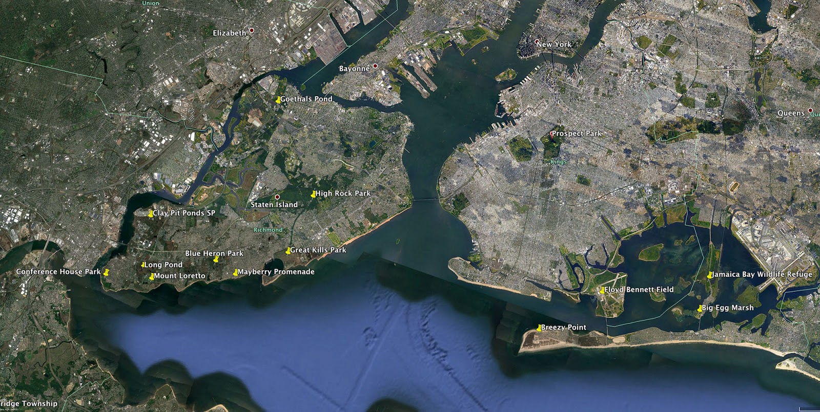 The City Birder: The City Birding Challenge