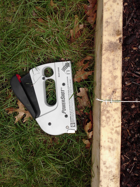 Luminous Home: Building Your Stake