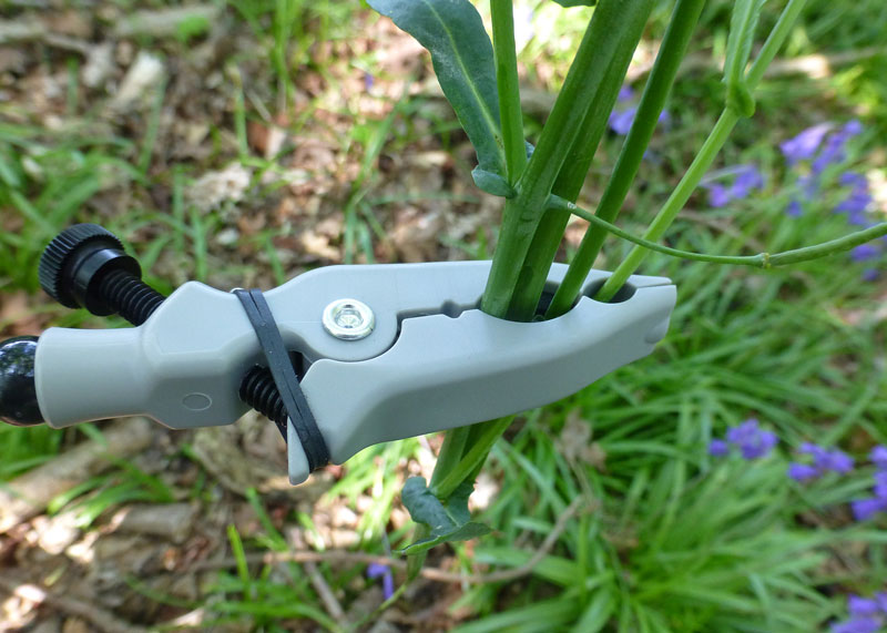 The NEW Wimberley Plamp 2, Plamp G and Plamp Extension, Chatty video ...