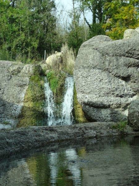 Von Herz und Hand: Tierpark Arth Goldau