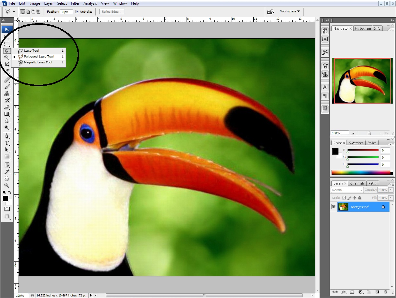 How To Remove Background Of Image Remove Background Of Image In Photoshop How To Remove Background Of Image Remove Background Of Image In Photoshop