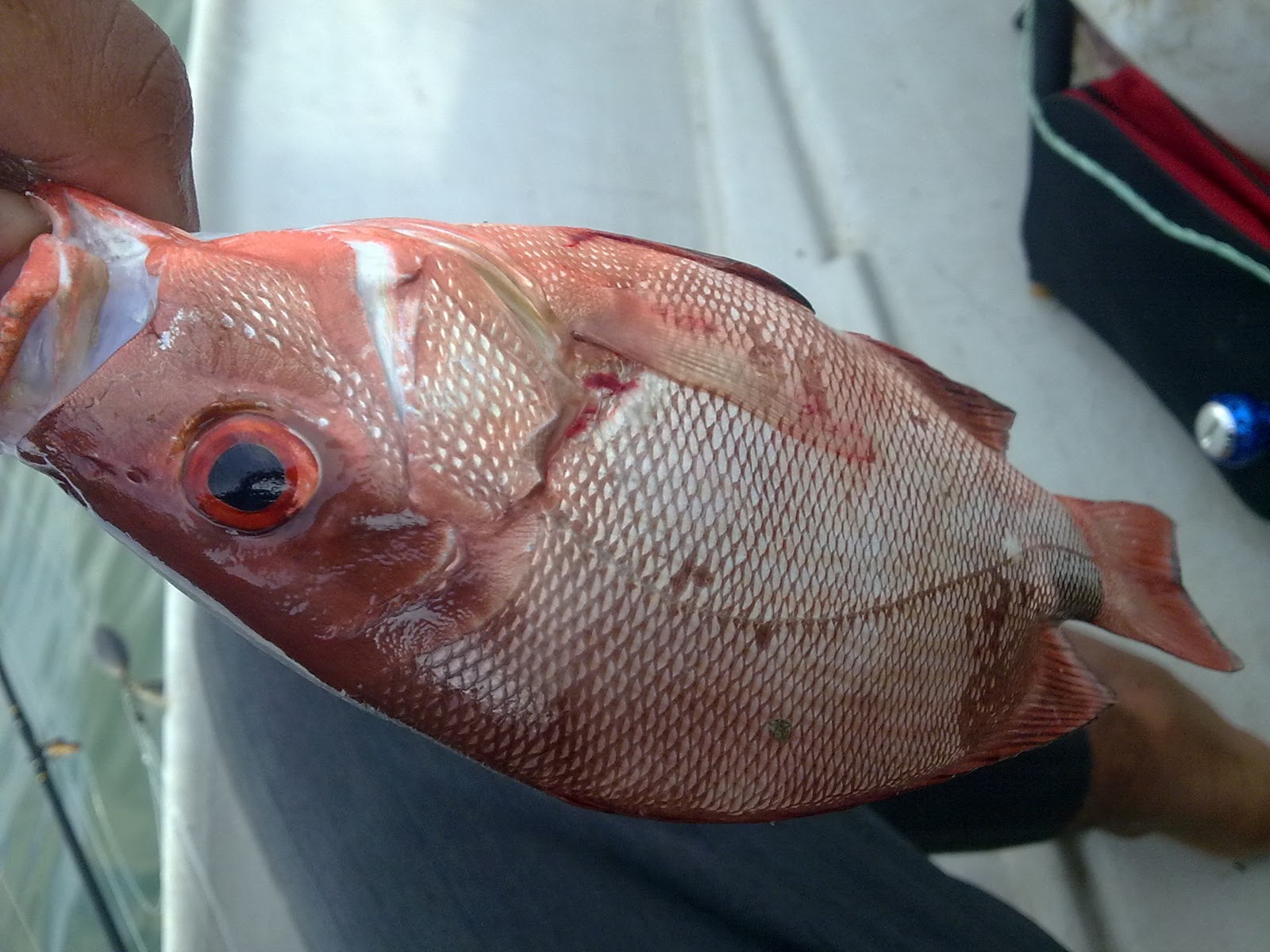 tempat tempat memancing