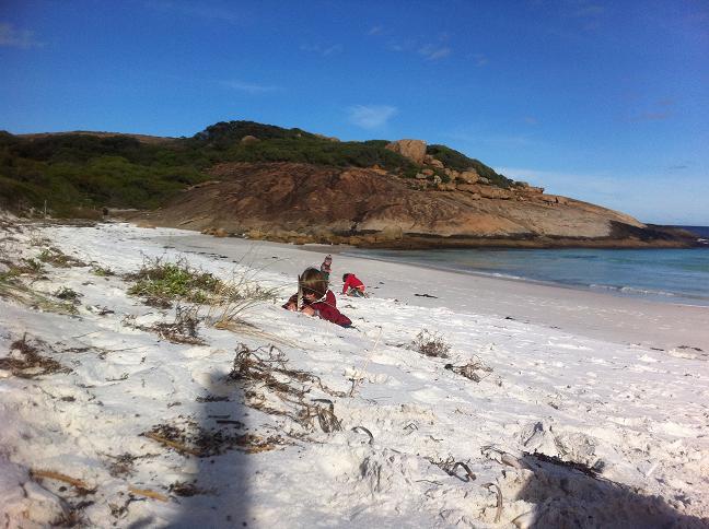 Five Lucky Ducks are travelling Oz: Five Lucky Ducks are in Cape Le ...