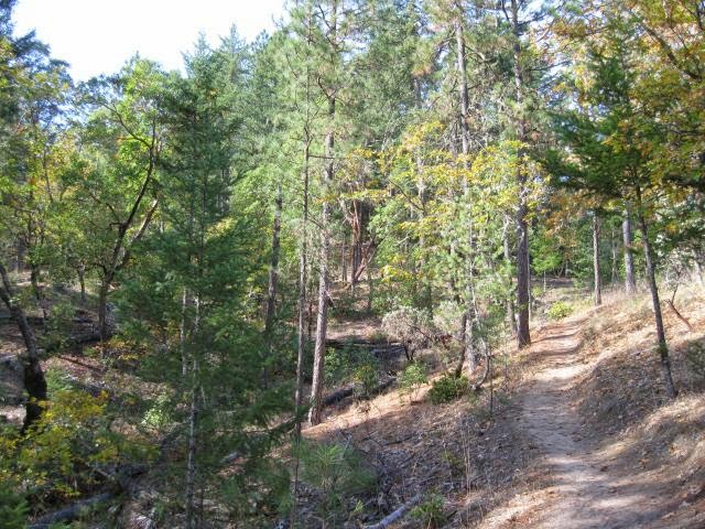 Hiking Sasquatch Country: 8 Cathedral Hills Park