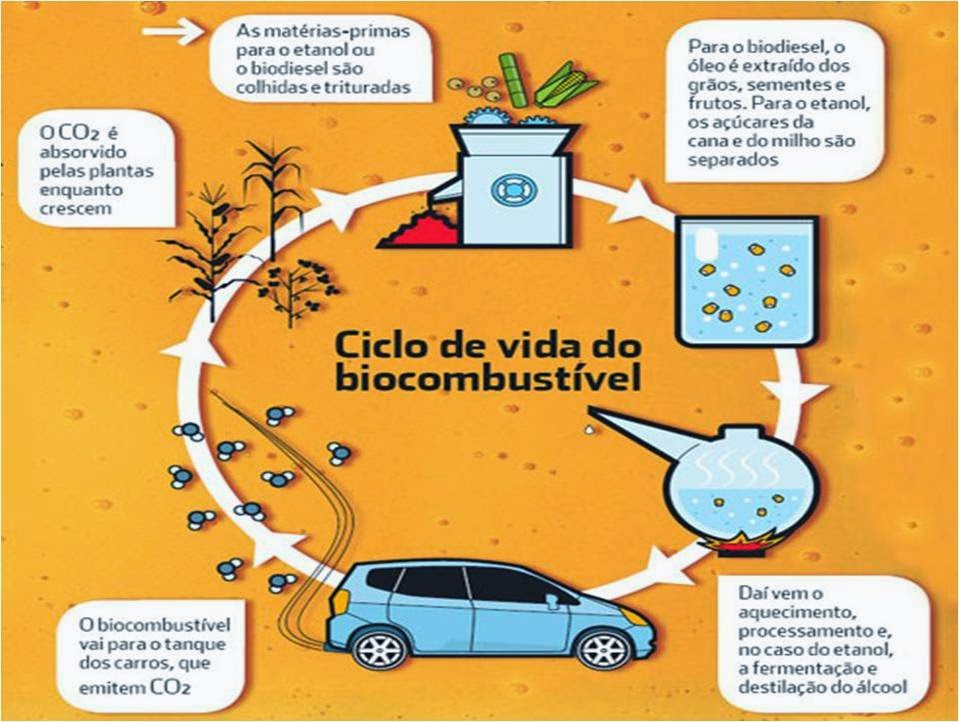 Blog Planeta Agora: Biocombustíveis
