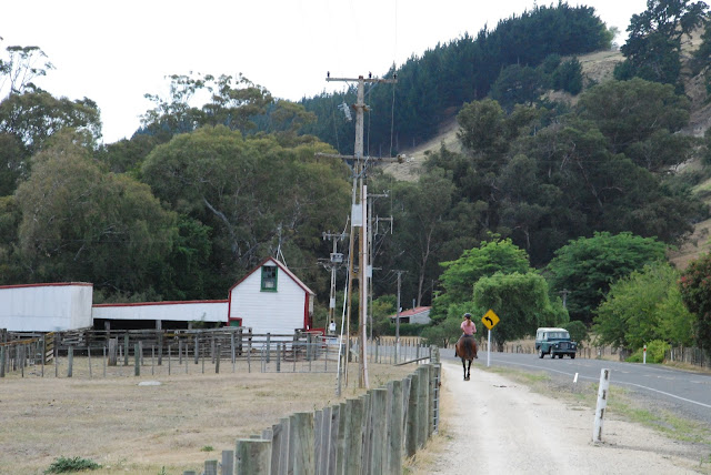 Kiwi Adventures Blog: Napier and Te Awanga, Hawkes Bay, New Zealand