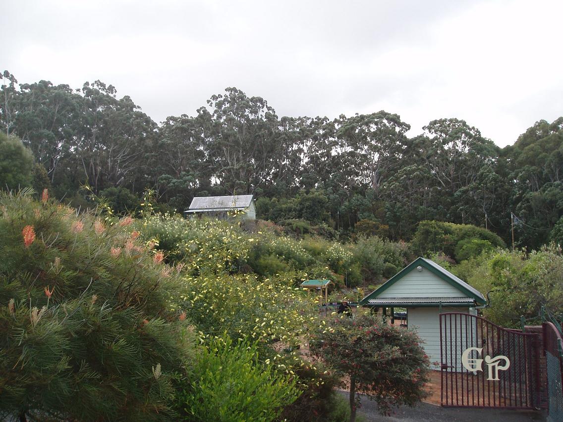 Garden inspiration: Illawarra Grevillea Park | Growing Illawarra Natives