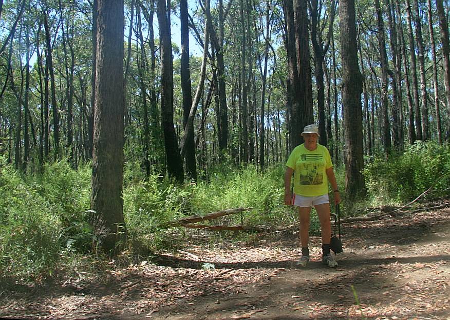TRACKS, TRAILS AND COASTS NEAR MELBOURNE : Exploring the Wright Forest ...