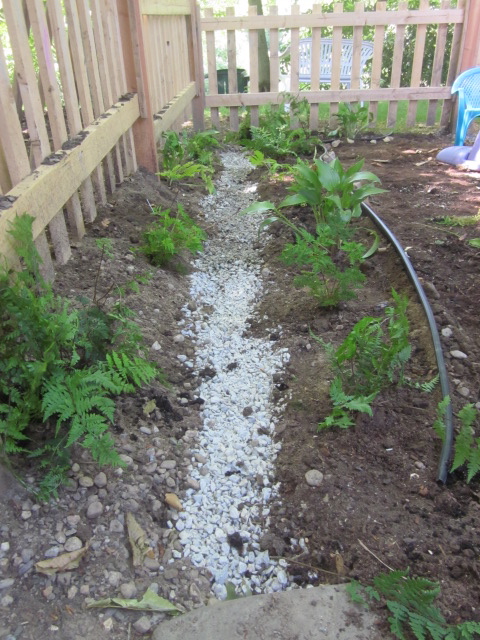 A Riverside Garden Makeover: from nothing to native paradise in one ...