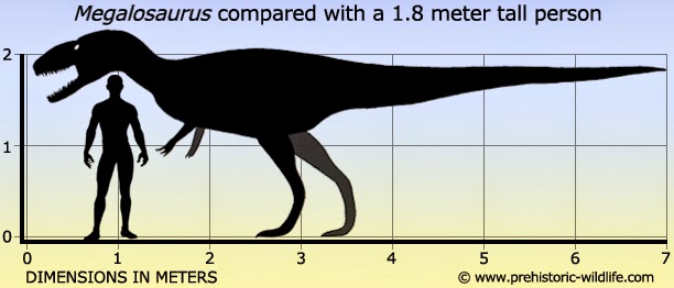 a mesozoic field guide: Megalosaurus