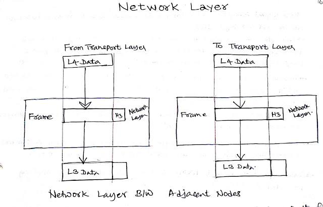 Networking(DCCN): OSI Reference Model