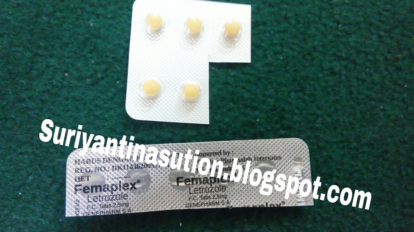 Suriyanti Nasution: Program Kehamilan Melalui Dokter Caroline ...