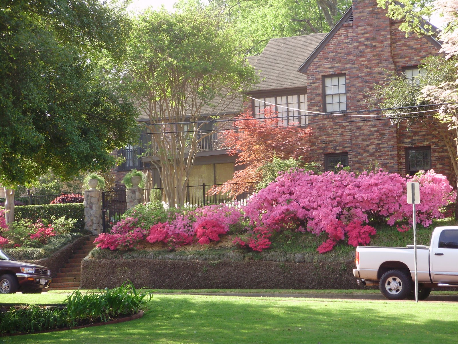 It’s All About Tyler…Literally: Azalea Trail