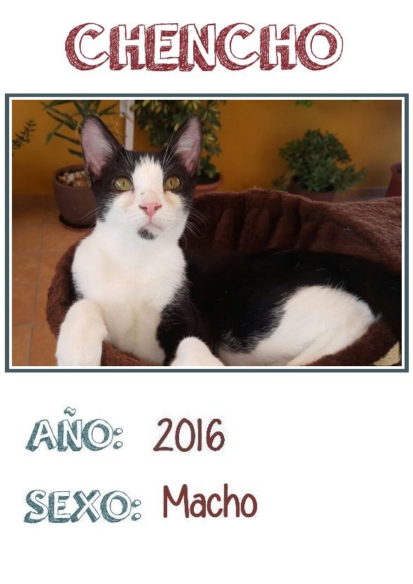 Abyda Jaén Blog: CHENCHO