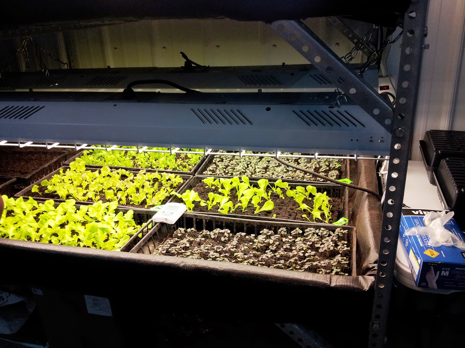 Edible Skyline: A Rooftop Revolution in Milwaukee: Field Trip: Central ...