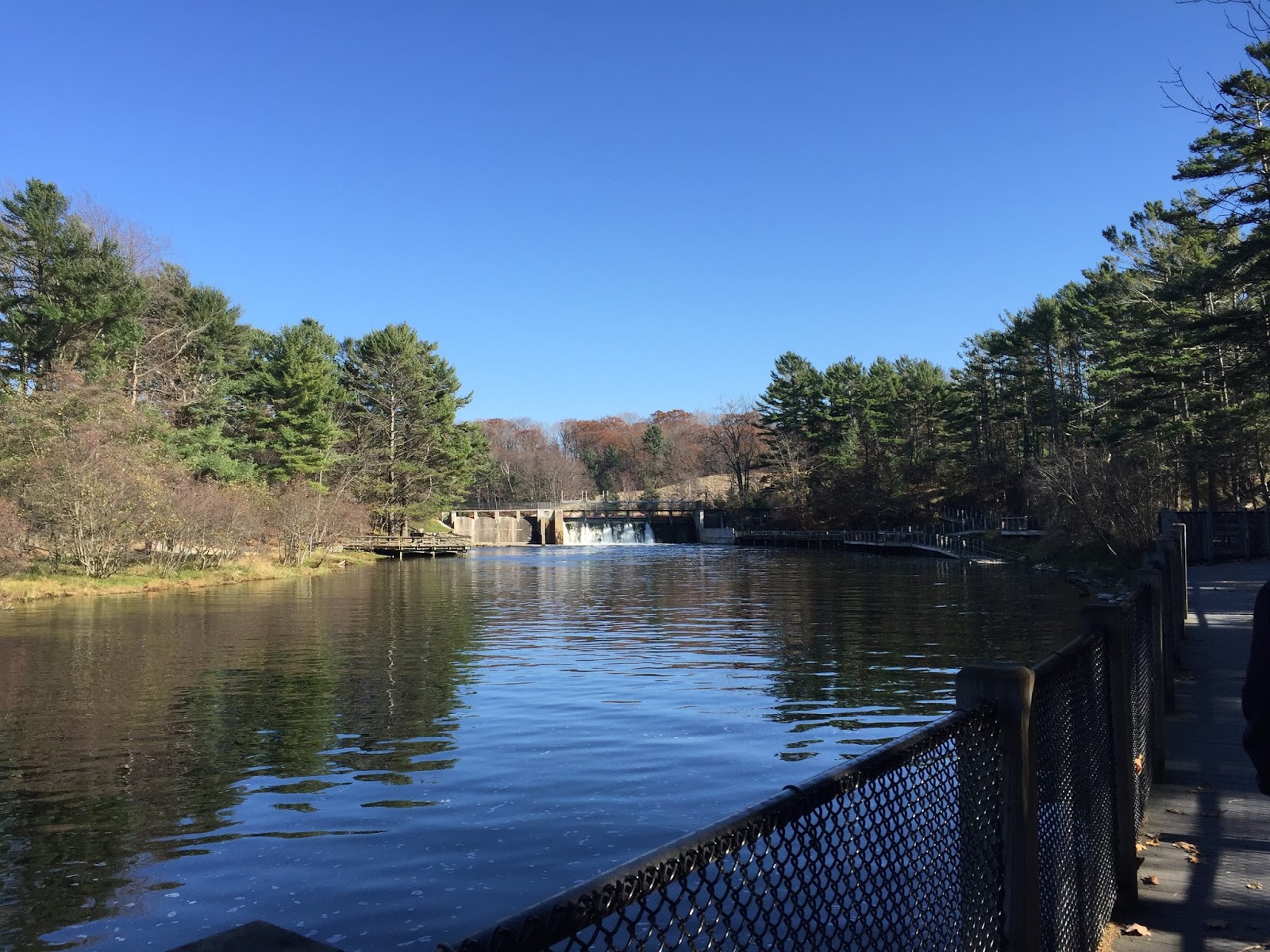 Travel Reviews & Information: Ludington, Michigan / State Park ...