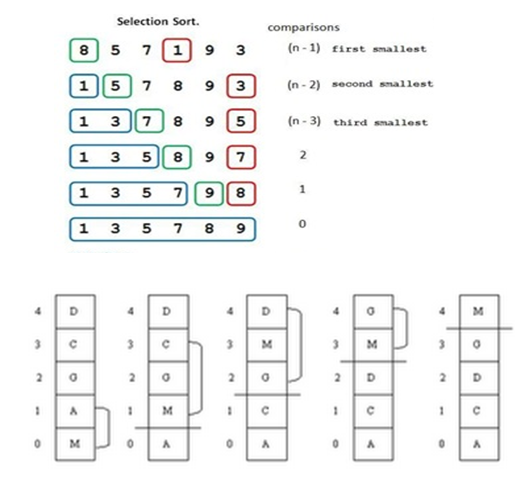 Selection Sort Pada Bahasa Pemrograman C# | Catatanku
